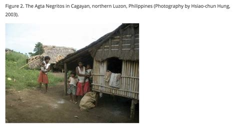 先住民の伝説に伝わる神の遺物か？ 台湾で小柄な集団の骨が発見！／遠野そら・mysterypress｜webムー 世界の謎と不思議のニュース＆考察コラム