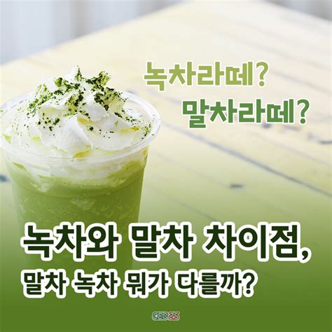 녹차와 말차 차이 말차와 녹차 다른 점 네이버 블로그