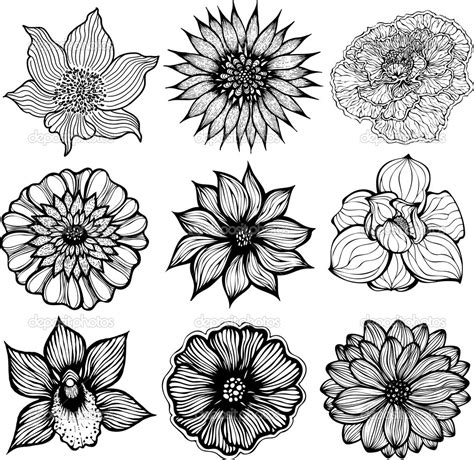 Different Types Of Flowers Drawing Easy