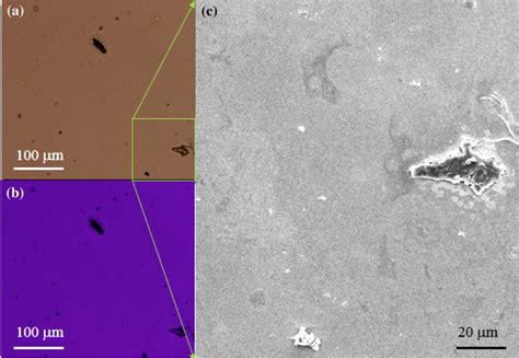 Optical Polarized Micrographs Of The Nh Doped Nickel Oxides In The
