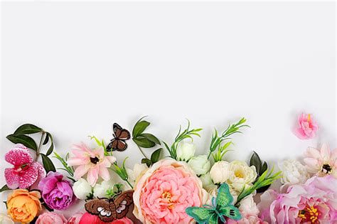 明るい背景に美しい花と蝶抽象的な花の構図静物画春の背景またはバナー休日のコンセプト母の日女性の日お誕生日おめでとう結婚式 カラー画像の