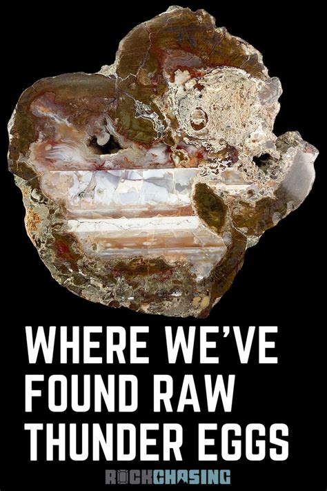 Discover The World Of Thunder Eggs
