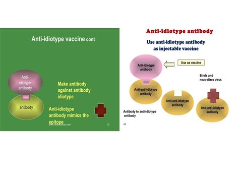Immunotolerance Pptx
