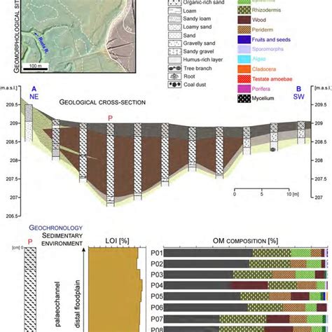 Site D Sediment Sequence And Om Composition Download Scientific Diagram