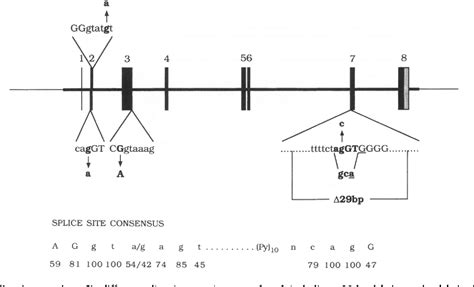 figure 1 from exhaustive mutation scanning by fluorescence assisted