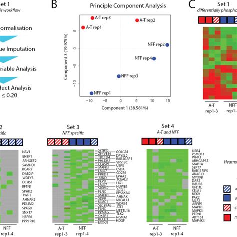 Phosphoproteomics Workflow And Identified Phosphopeptides A Cultures Download Scientific