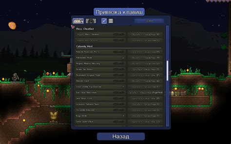 Give Me Control Config Plz Rterraria