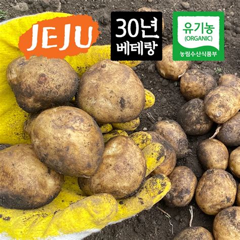 홈 제품 피드백