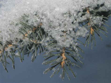Find The Snowflakes If You Look At This Photo In Large Siz Flickr