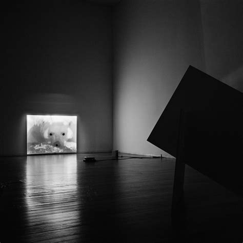 Alexandre Estrela — Travesía Cuatro