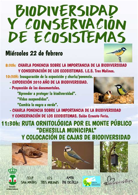 La Importancia De Preservar Los Ecosistemas Image To U