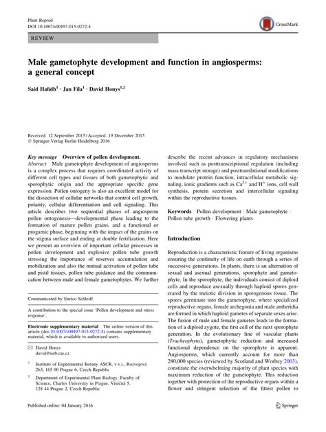 Pdf Male Gametophyte Development And Function In Angiosperms A