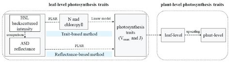 Workflow Of Data Processing Download Scientific Diagram