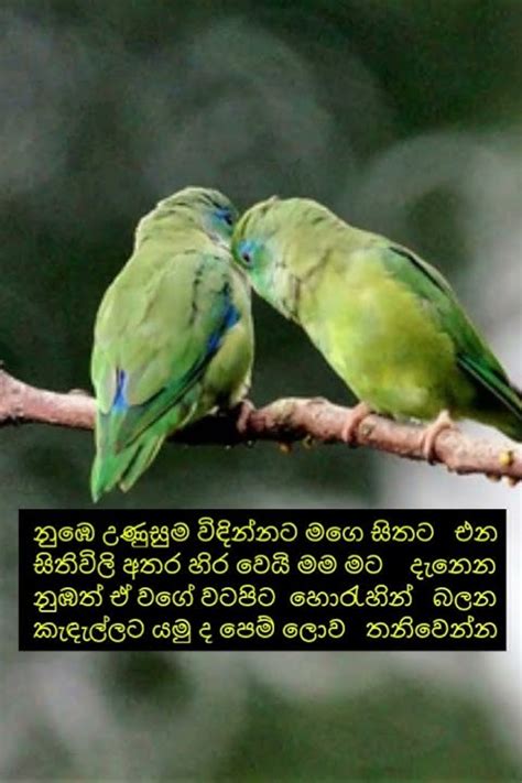 යමු කැඳැල්ලට නිසඳැස් කවි Sinhala Nisadas Youtube