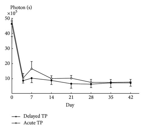 The Time Course Of Viability Of Transplanted Nspcs For Sci A Images