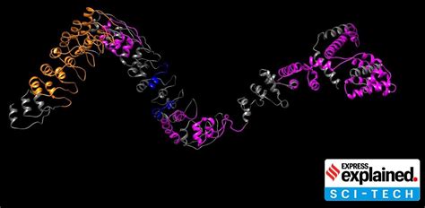 How Scientists Got A Glimpse Of The Inner Workings Of Protein Language Models Lifeboat News