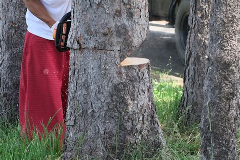 Premium Photo Midsection Of Man Cutting Tree Trunk On Lawn