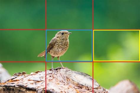 Object Detection For The Blue Cell In The Figure R 1 1 0 X Y W H T Download Scientific