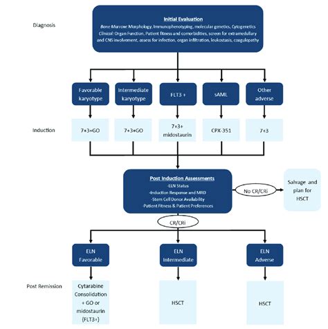 Overview Of Frontline Intensive Treatment Of AML Download Scientific Diagram