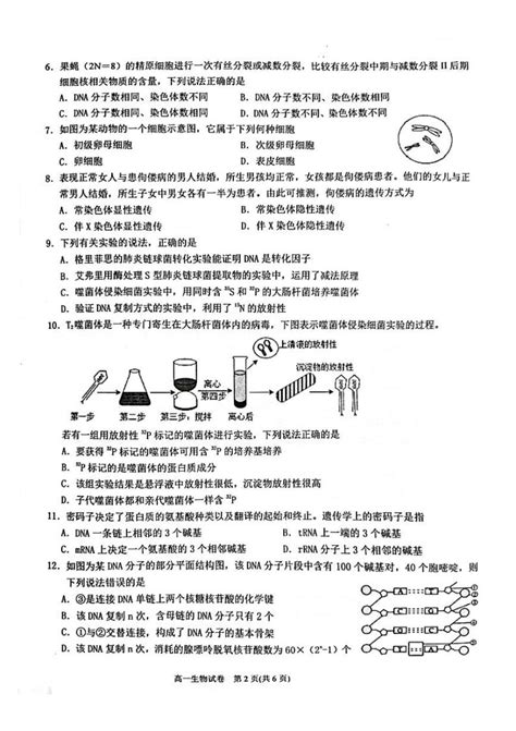 贵州省黔东南州2022 2023学年高一下学期末文化水平测试生物试卷 教习网试卷下载