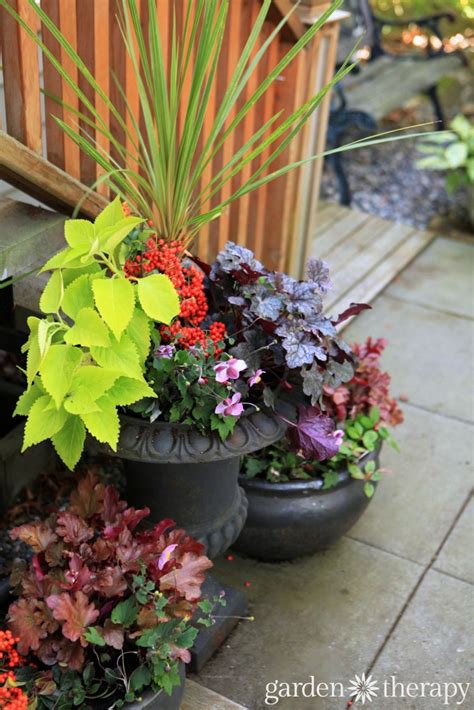 Outdoor Potted Plants Shade