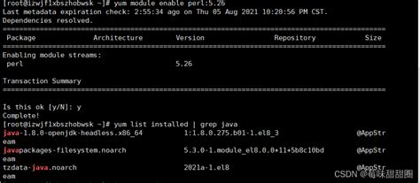 Centos80 使用yum 安装jdkyum安装jdk安装路径在哪 Csdn博客