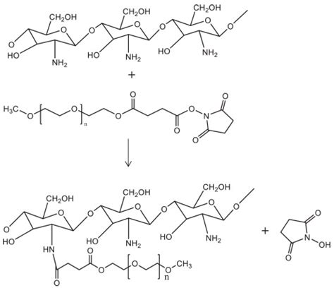Cationic Polymers As Transfection Reagents For Nucleic Acid Delivery
