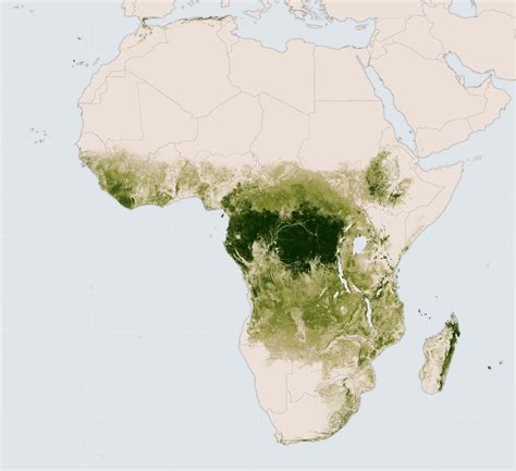 Tree Height Map Of Africa Maps On The Web