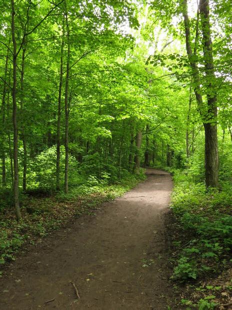The Park Next Door Sacred Ground And Effigy Mounds Of Wisconsin
