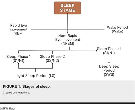 Figure 1 From Exploring The Role Of Circadian Rhythms In Sleep And Recovery A Review Article