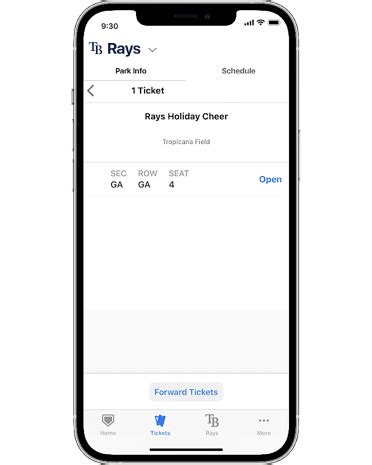 Rays Holiday Cheer Tampa Bay Rays