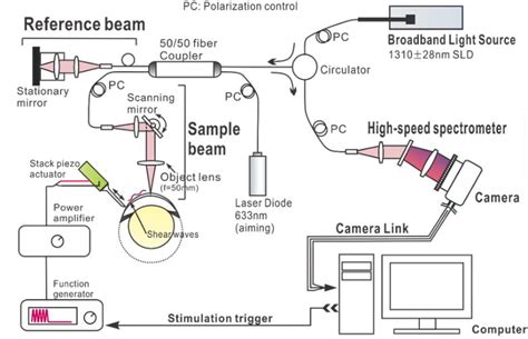 Experimental Setup For Dynamic Elastography Combining A Phs Oct Imaging