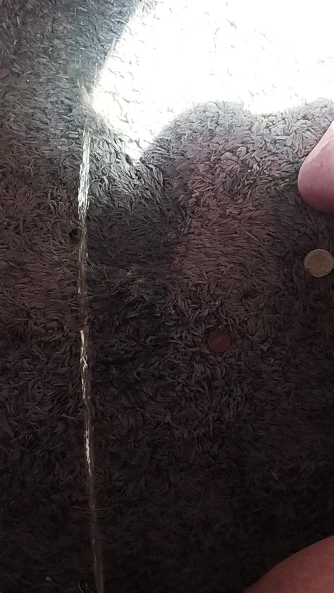 Ftm Morning Rug Pee