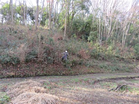 里地里山プロジェクト 雑木林手入れ ～実体験が教えてくれるもの～｜お知らせ｜教育農場 教育施設 恵泉女学園大学