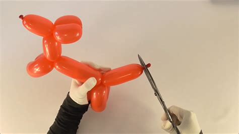 Как сделать собаку из шарика колбаски за 20 шагов