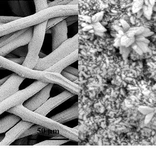 SEM Images Of The TiO TiO Film The Hydrothermal Temperature Is Download Scientific Diagram