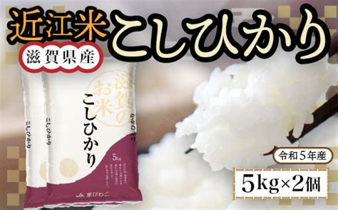 近江米 こしひかり 白米10㎏ 令和6年産 Bd06 滋賀県愛荘町 セゾンのふるさと納税