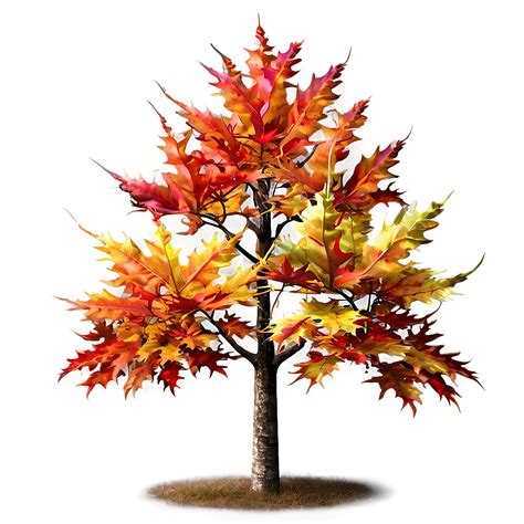[100 ] Maple Tree Png Images