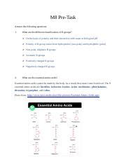 M8 PreTask Docx M8 Pre Task Answer The Following Questions 1 What Are The Different