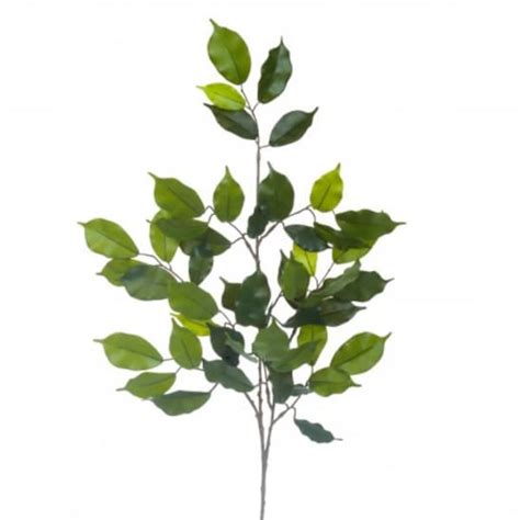 Artificial Ficus Branch Etsy