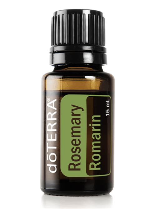 Rosemary Essential Oil Rosmarinus Officinalis