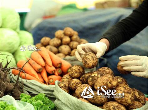 Алтан намар 2023 хүнсний ногооны өргөтгөсөн худалдаа Нийслэлийн 31 байршилд болж байна Isee Mn