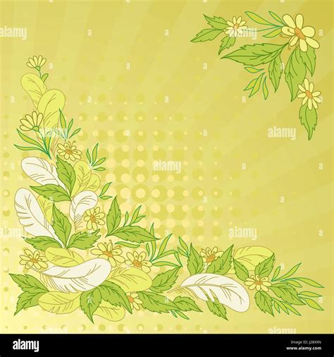 Abstract Floral Background Leaves Flowers Feathers Rays And Circles