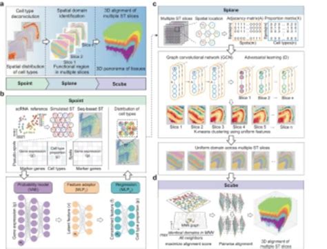 On Linkedin Ustc Develops A New Deep Learning Based