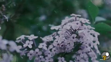 استوری، دلت نگیرد از غم ها، رفیق 💚 فیلو