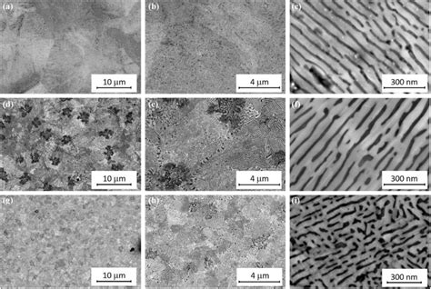 Scanning Electron Micrographs Recorded On Melt Spun Eutectic Ag Cu Download Scientific Diagram