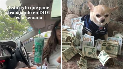 Cuánto gana un conductor de DIDI Conductora responde la duda en Tiktok Infobae