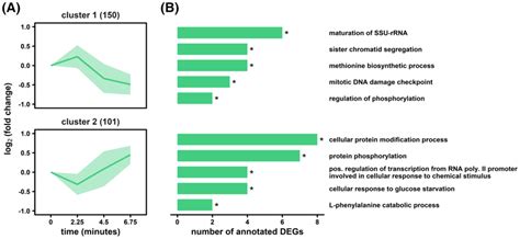 Differential Gene Expression Analysis Of The Adapted R‐lsl Time Series