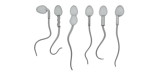 Sperm Morphology Normal And Abnormal Blender Market