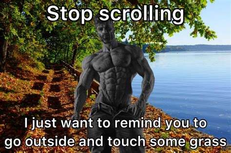 Go Touch Some Grass R Memes